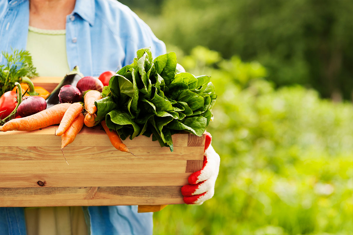 Aktuellt - Wernsing Food Solutions